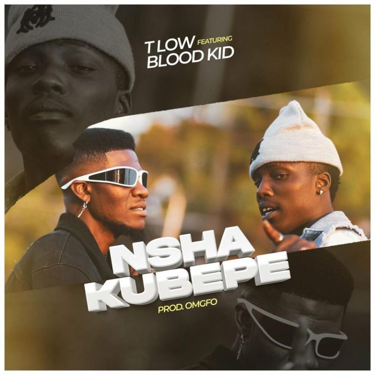 T-Low Ft. Blood Kid Yvok - Nshakubepe - Zambianplay
