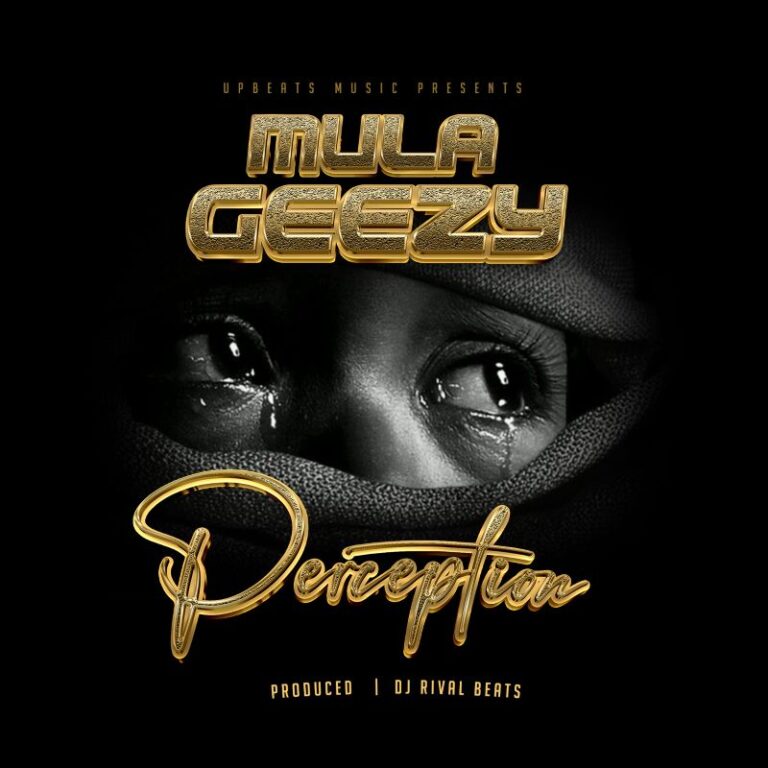 Mula Geezy - Perception